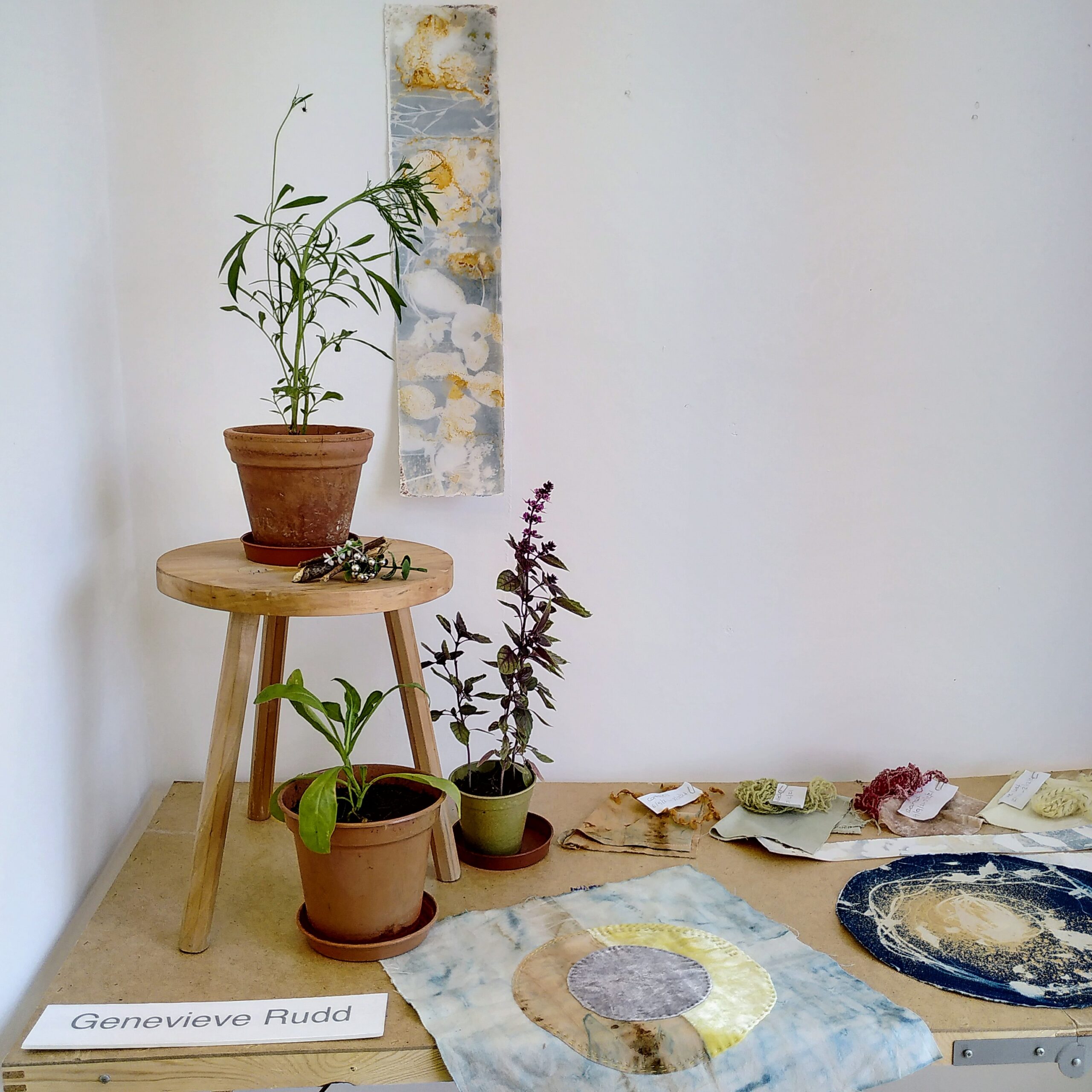 Arts Practice | GENEVIEVE RUDD